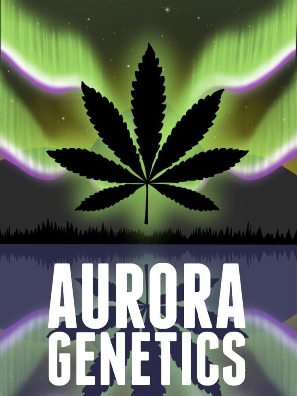 Aurora Genetics - Medicinal Garden